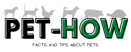 Do Skunks Make Great Pets? (Explained!)