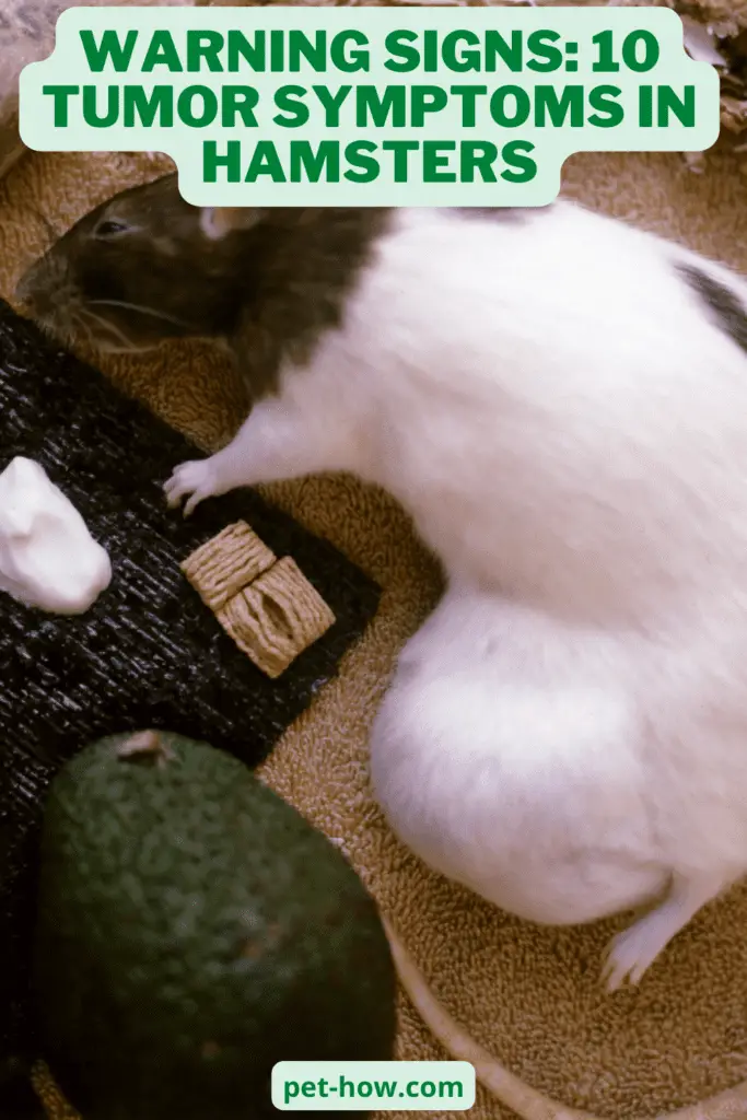 Warning Signs: 10 Tumor Symptoms in Hamsters